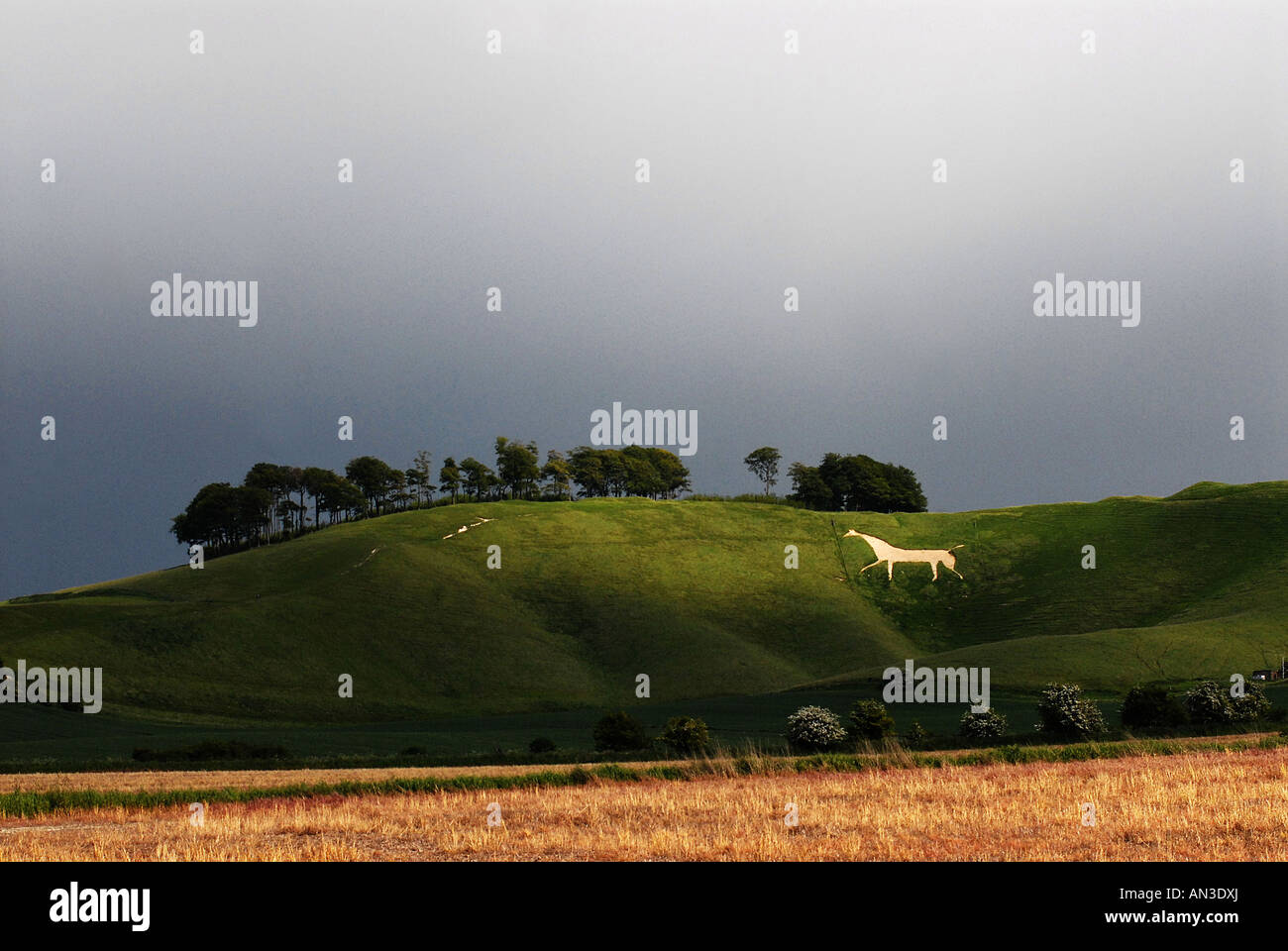 Cherhill white horse hi-res stock photography and images - Alamy