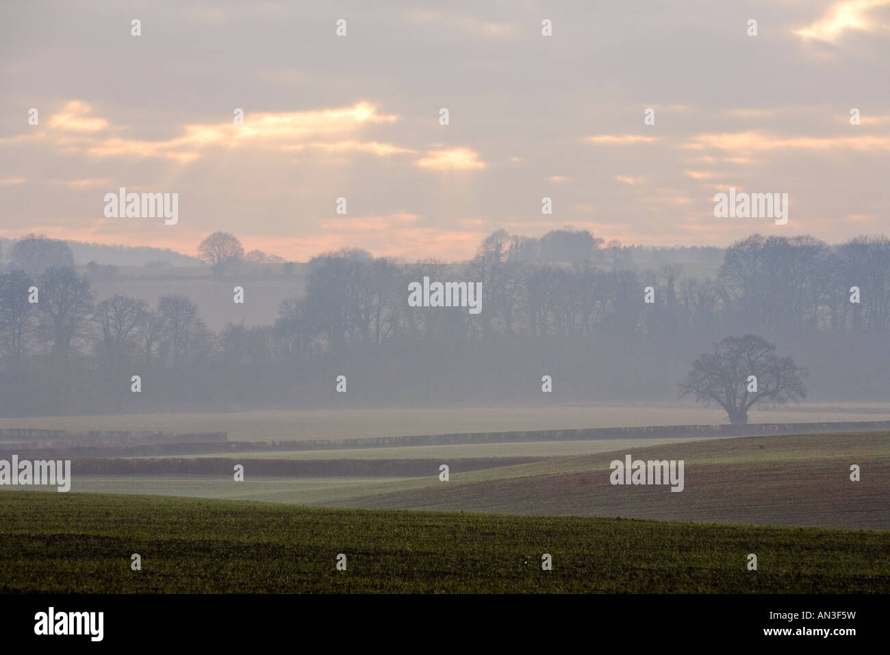 Misty winter weather over ploughed fields Wales UK Stock Photo - Alamy