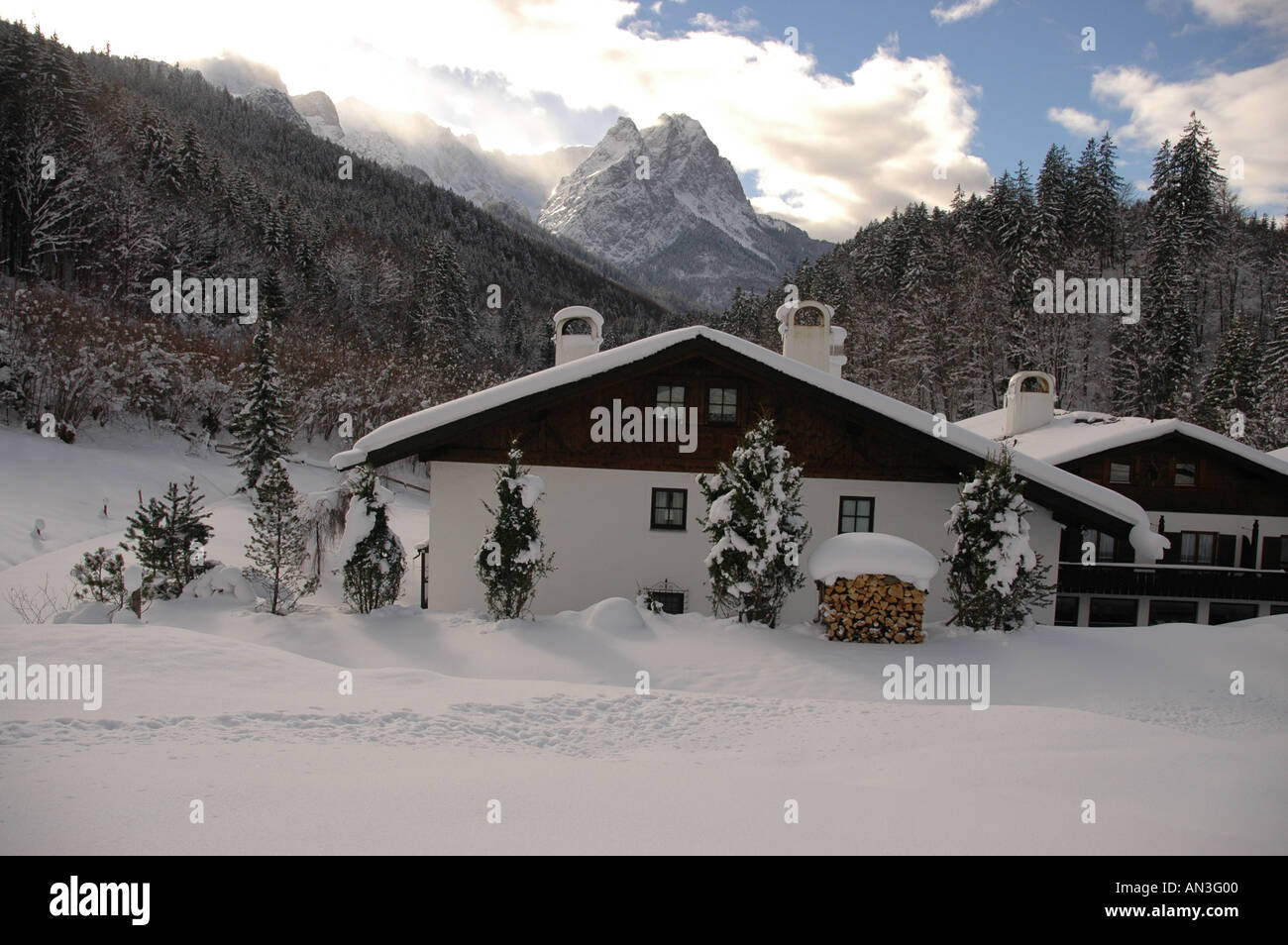 Wiggly tree hi-res stock photography and images - Alamy