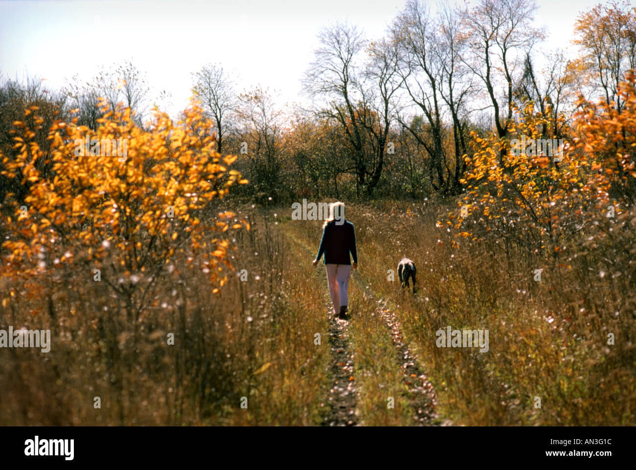 Country dog walk autumn hi-res stock photography and images - Alamy