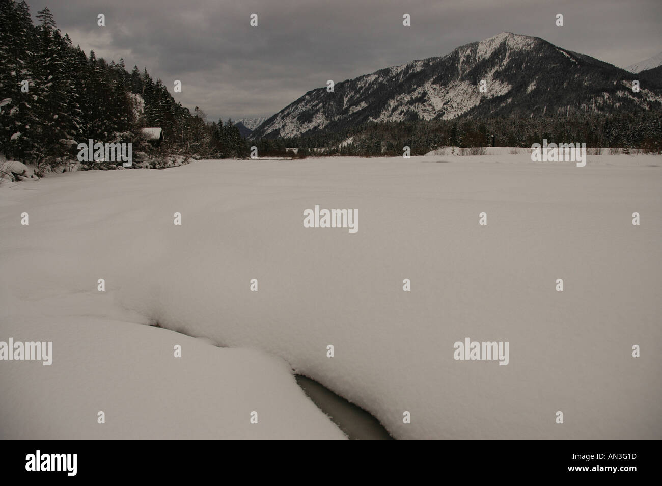 Alpen alps wald forest nadelbaum hi-res stock photography and images ...