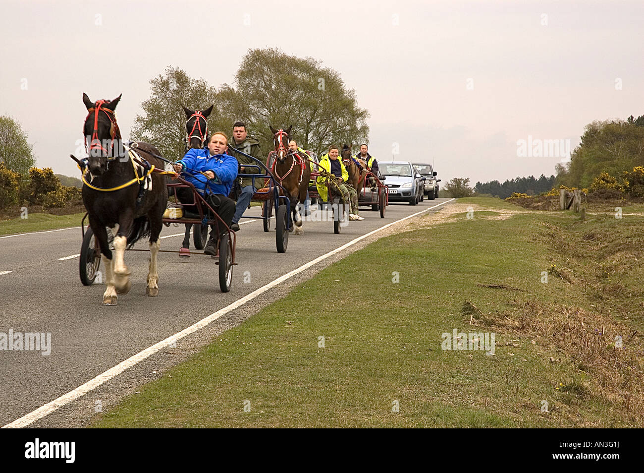 Pony trap hi-res stock photography and images - Alamy