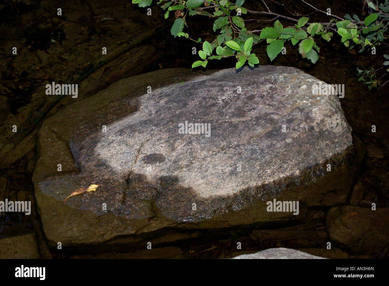 Rock at water's edge Stock Photo - Alamy