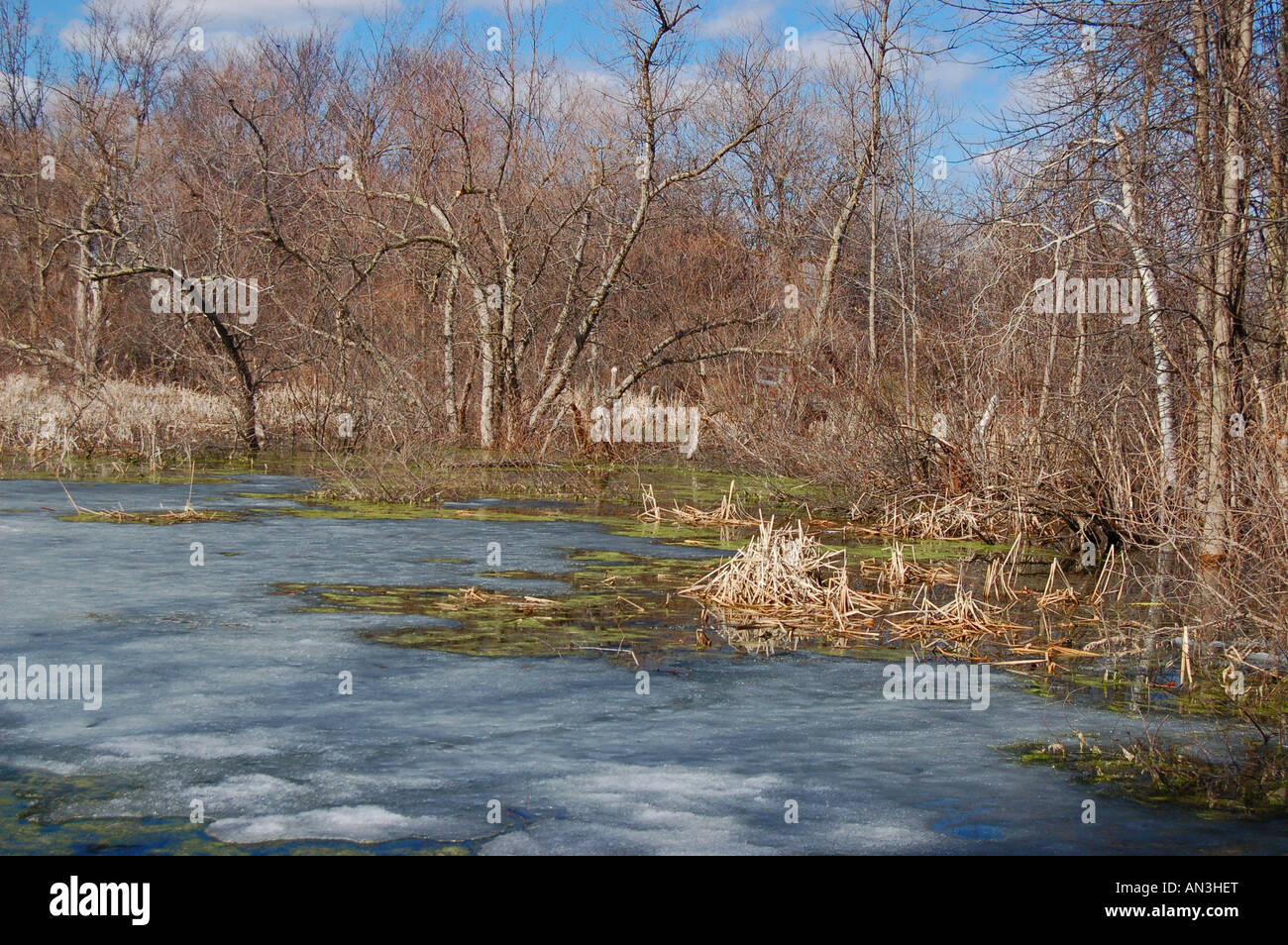 Thawing pond hi-res stock photography and images - Alamy