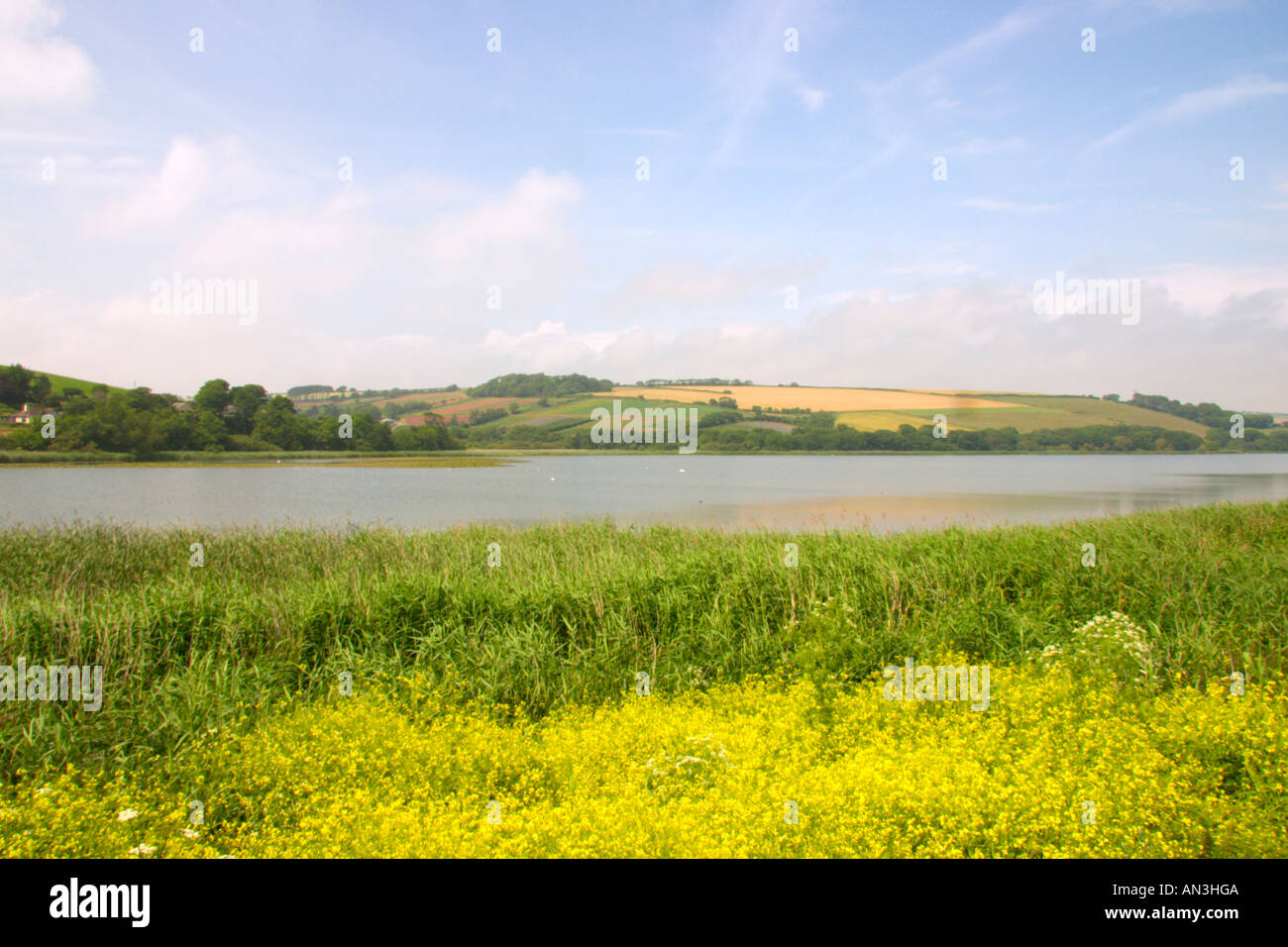 Slapton ley national nature reserve hi-res stock photography and images ...