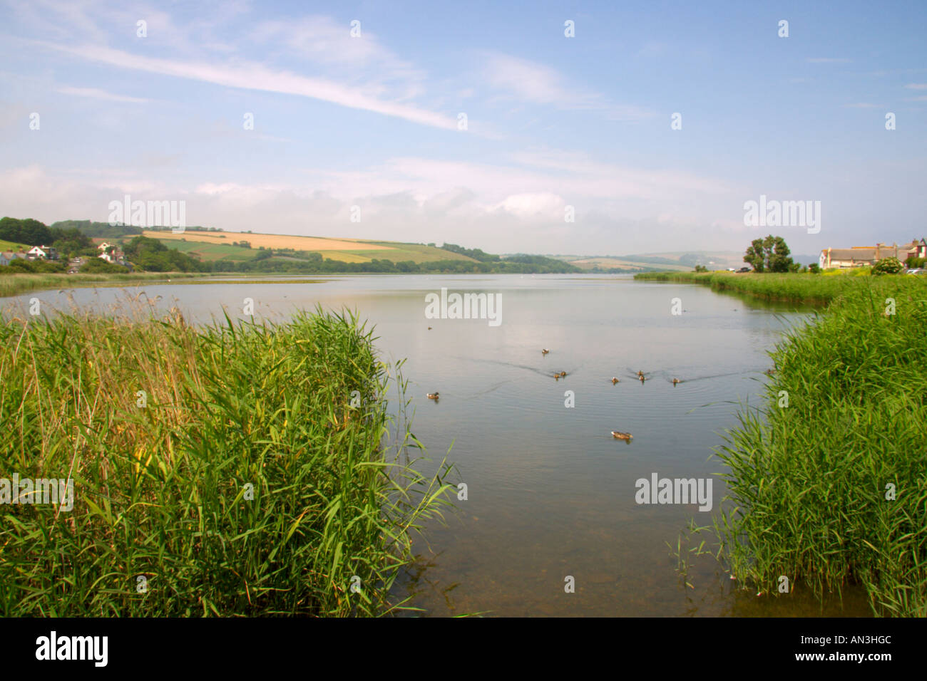 Lower Ley Slapton Ley National Nature Reserve Devon UK Stock Photo - Alamy
