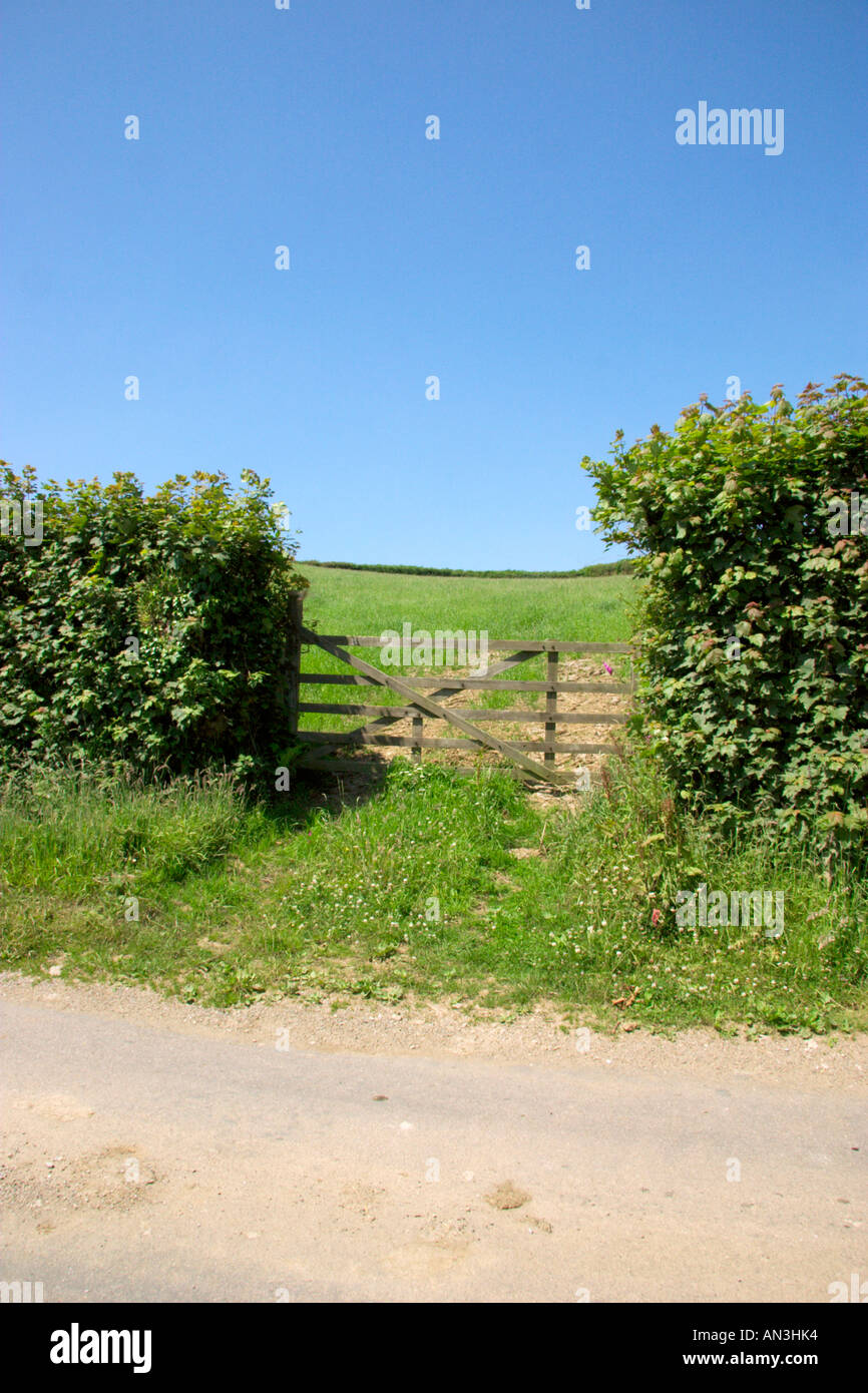 Bottom field hi-res stock photography and images - Alamy