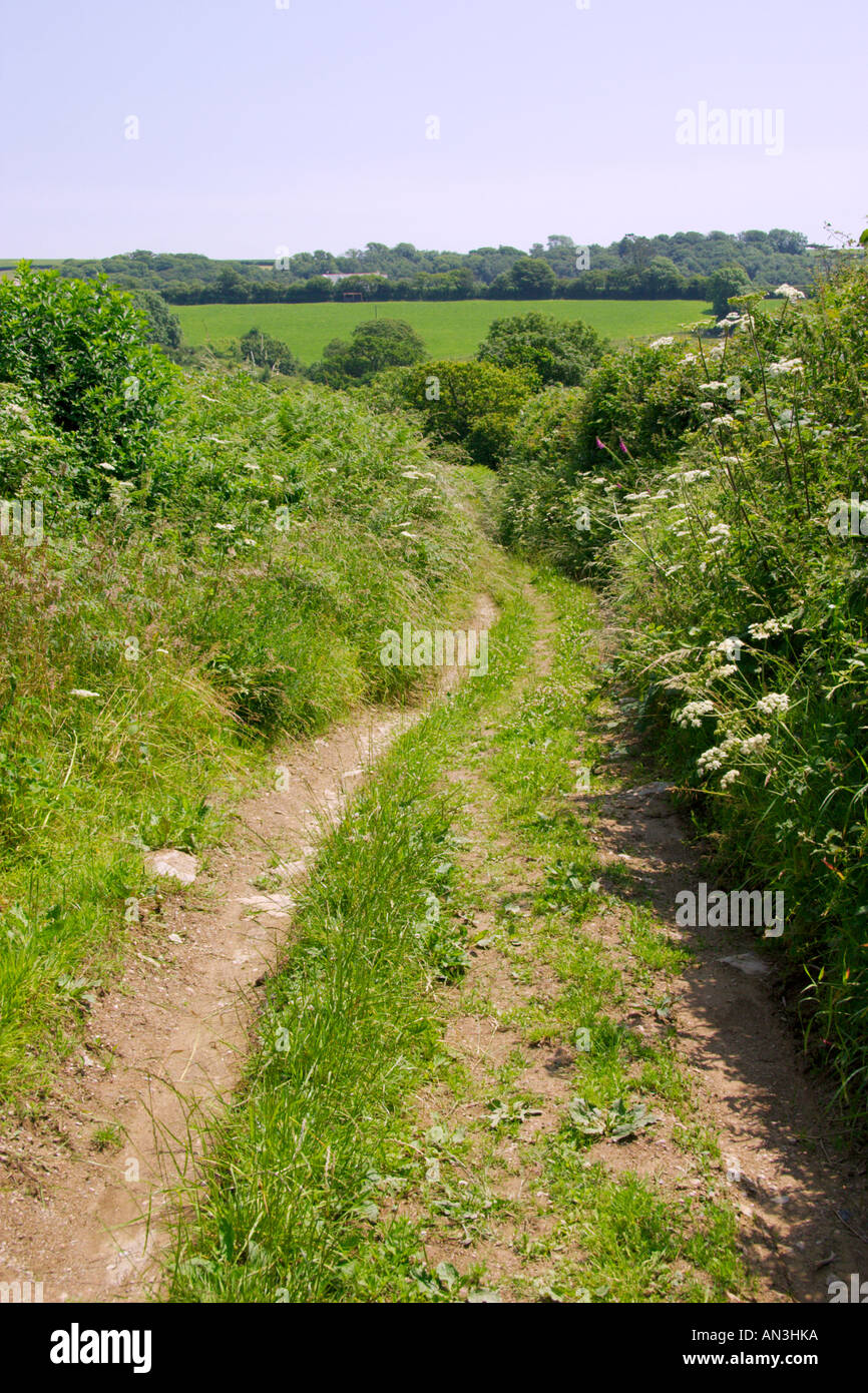 English country track hi-res stock photography and images - Alamy