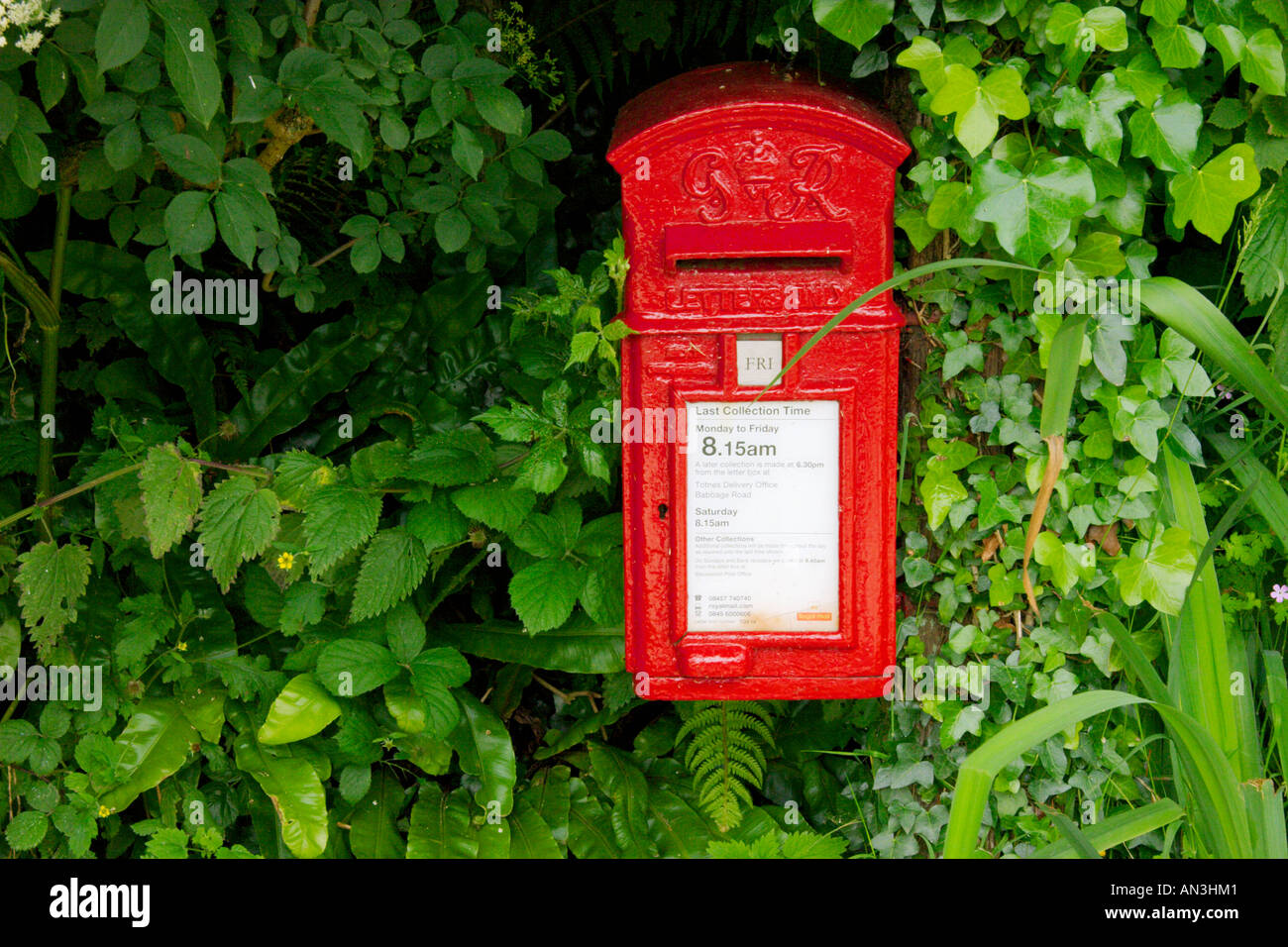 Post box in hedge Devon UK Stock Photo - Alamy