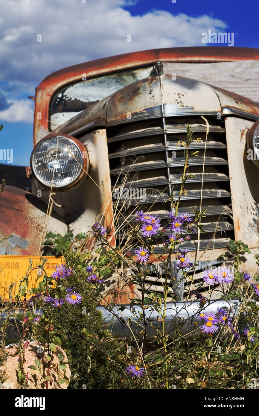 Old antique car purple flowers hi-res stock photography and images - Alamy