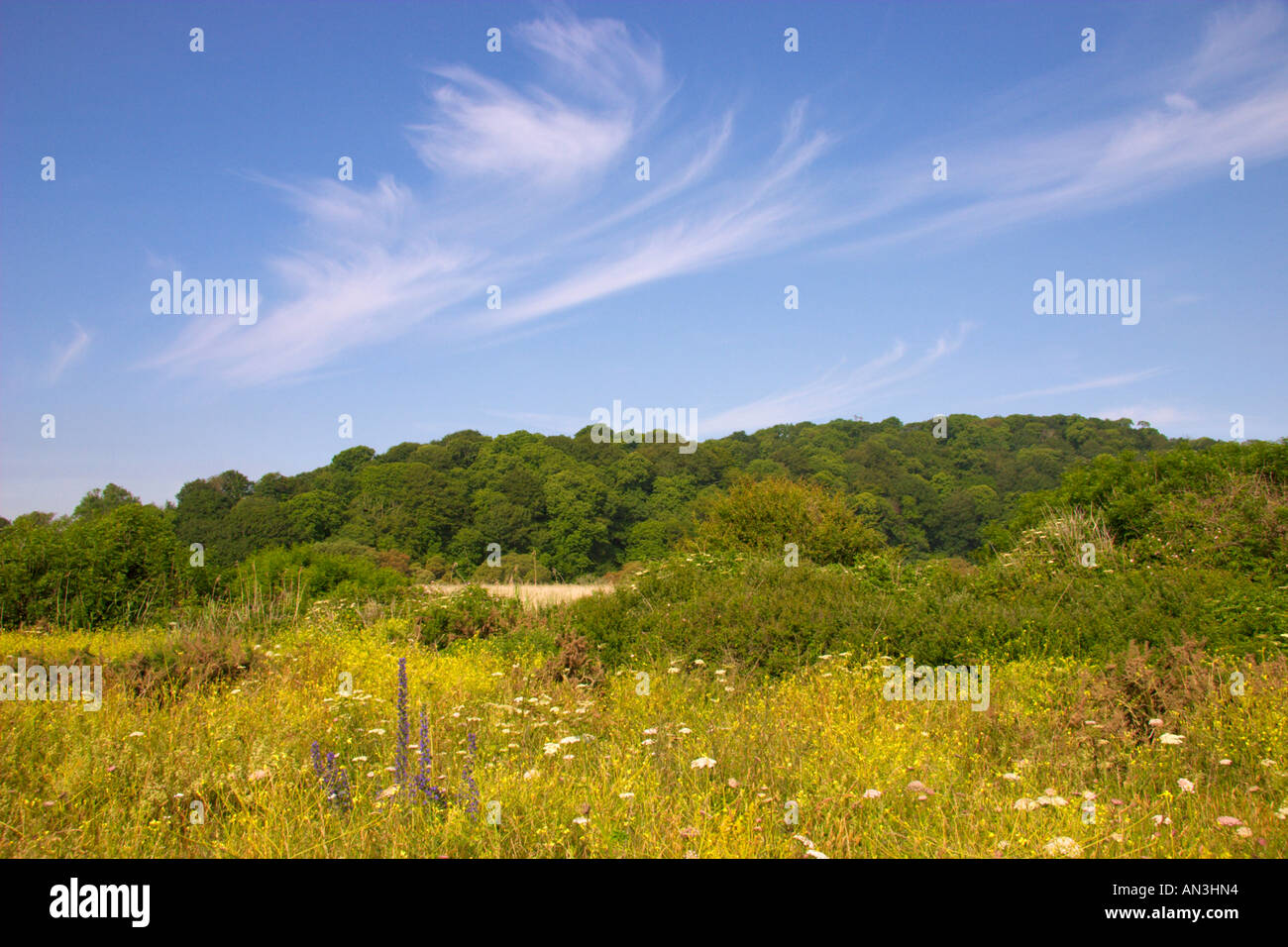 Slapton Ley National Nature Reserve Devon UK Stock Photo - Alamy