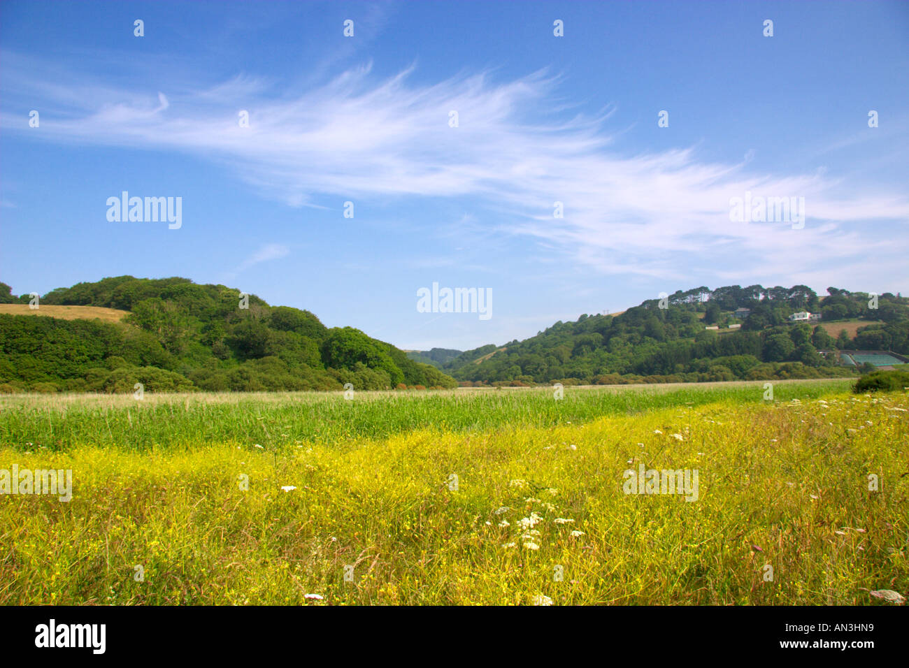 Slapton Ley National Nature Reserve Devon UK Stock Photo - Alamy