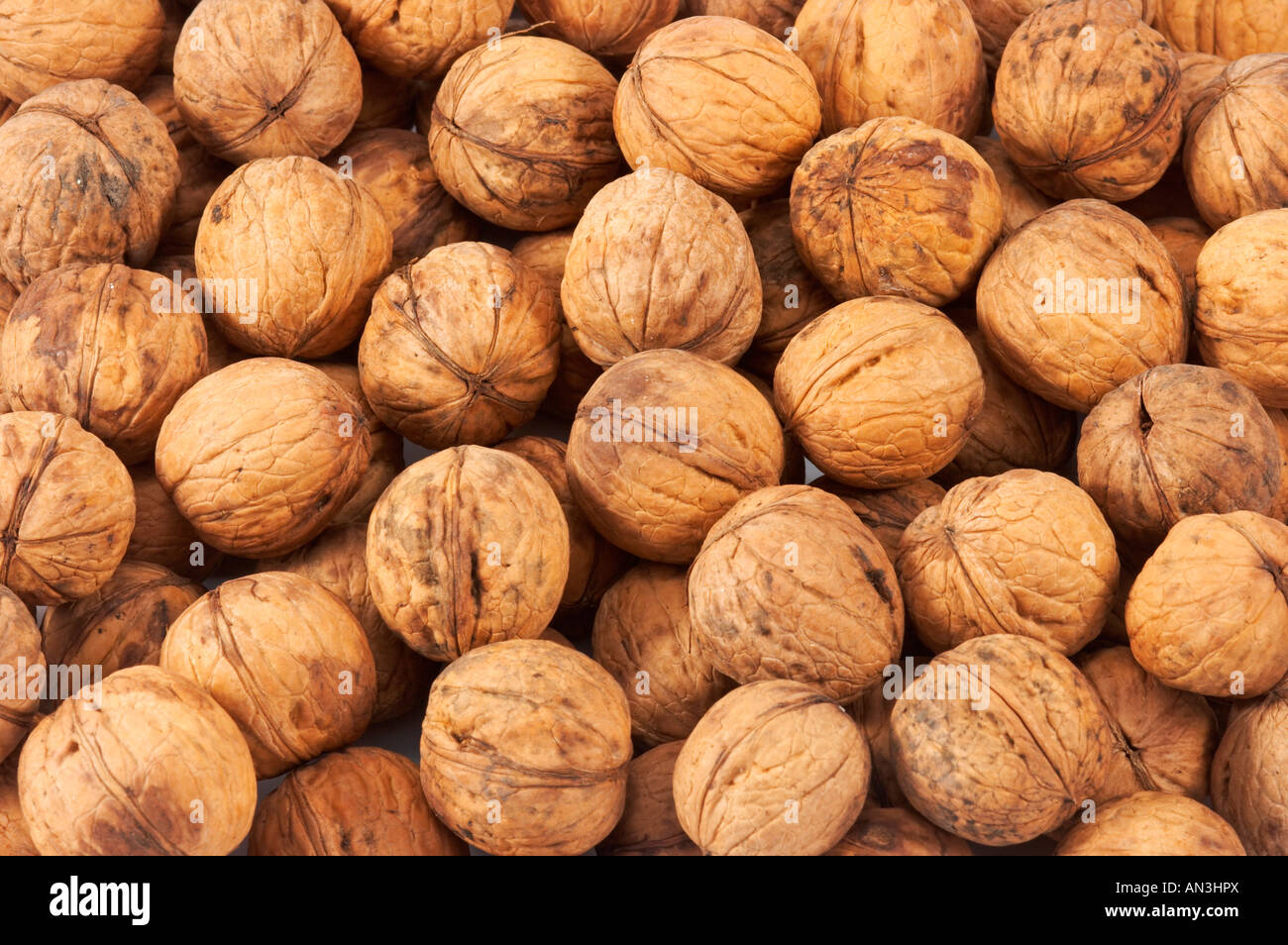 Nuts garden stuf background Stock Photo - Alamy