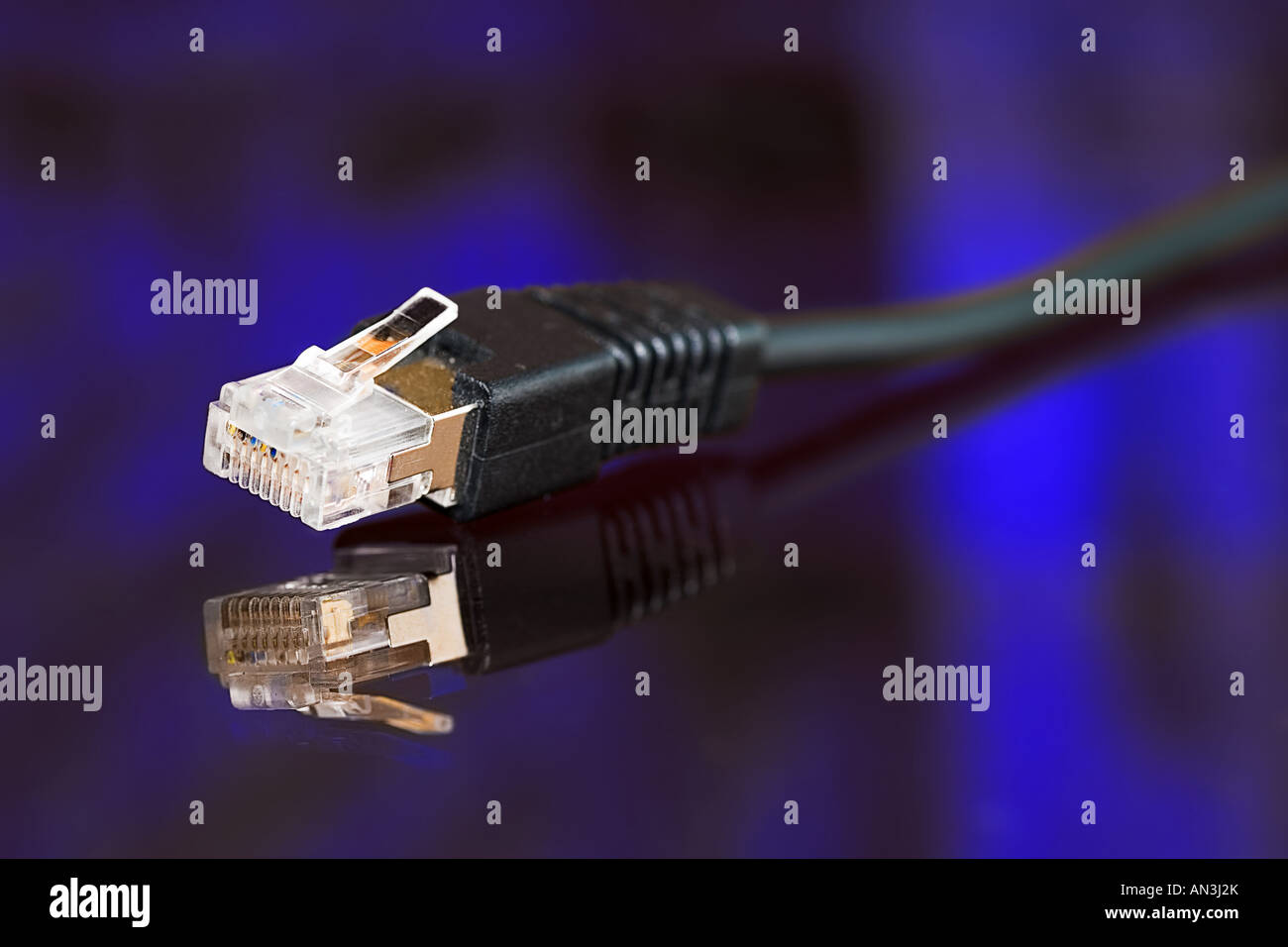 Ethernet cable on blue background Stock Photo - Alamy