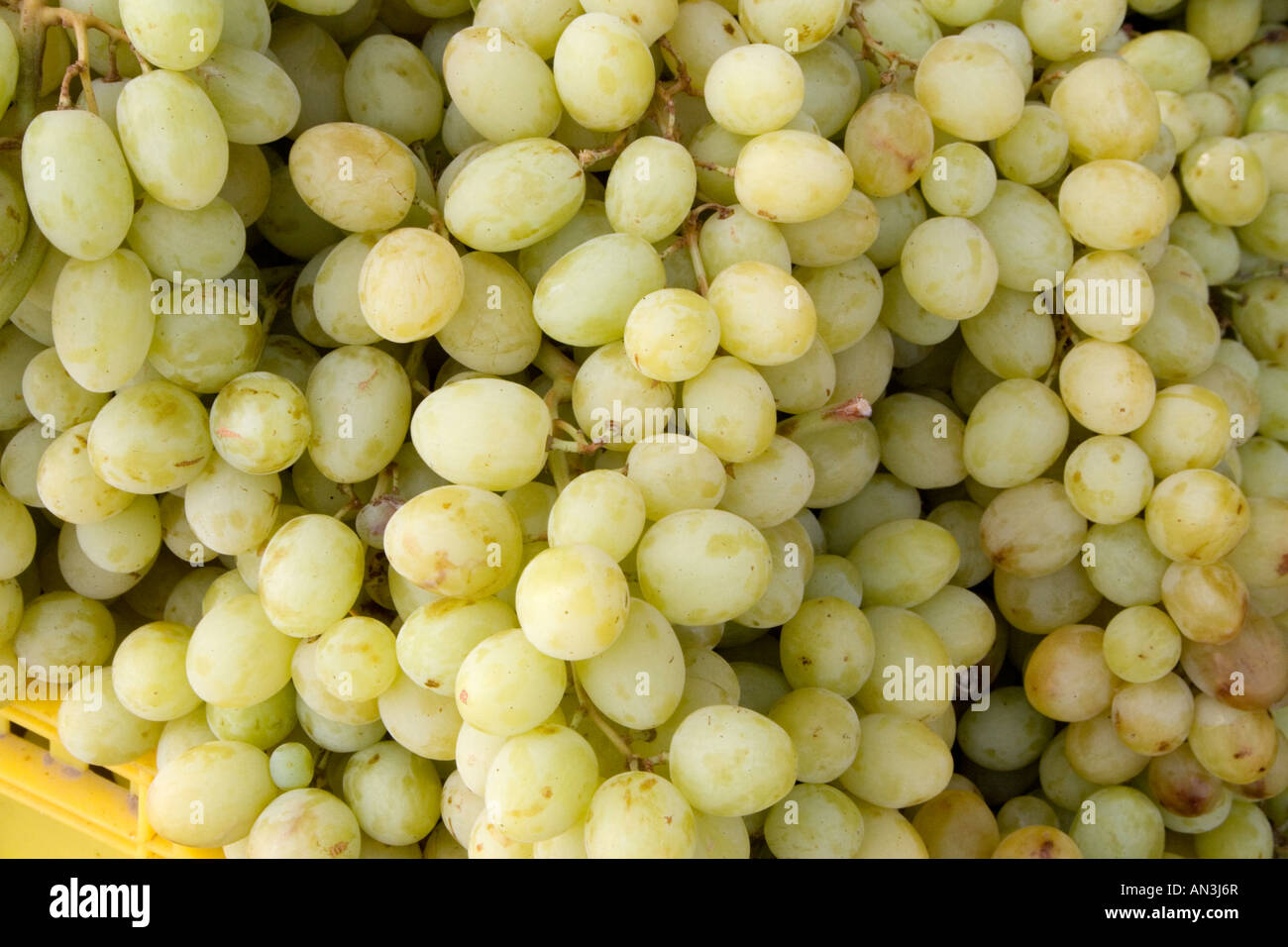 Tripoli, Libya. Fruit and Vegetable Stand Grapes Stock Photo - Alamy