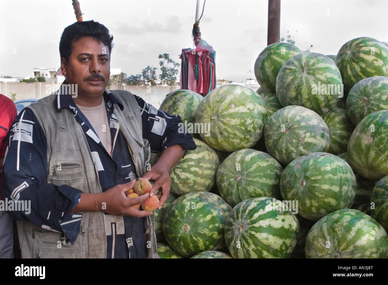Tripoli LIbya Egyptian Watermelon Vendor, holding peaches Stock Photo ...