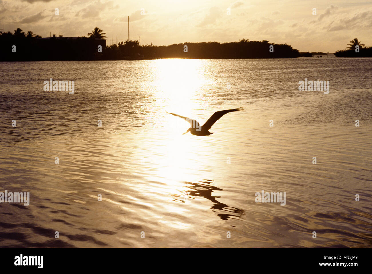 Flying low over water sunset hi-res stock photography and images - Alamy