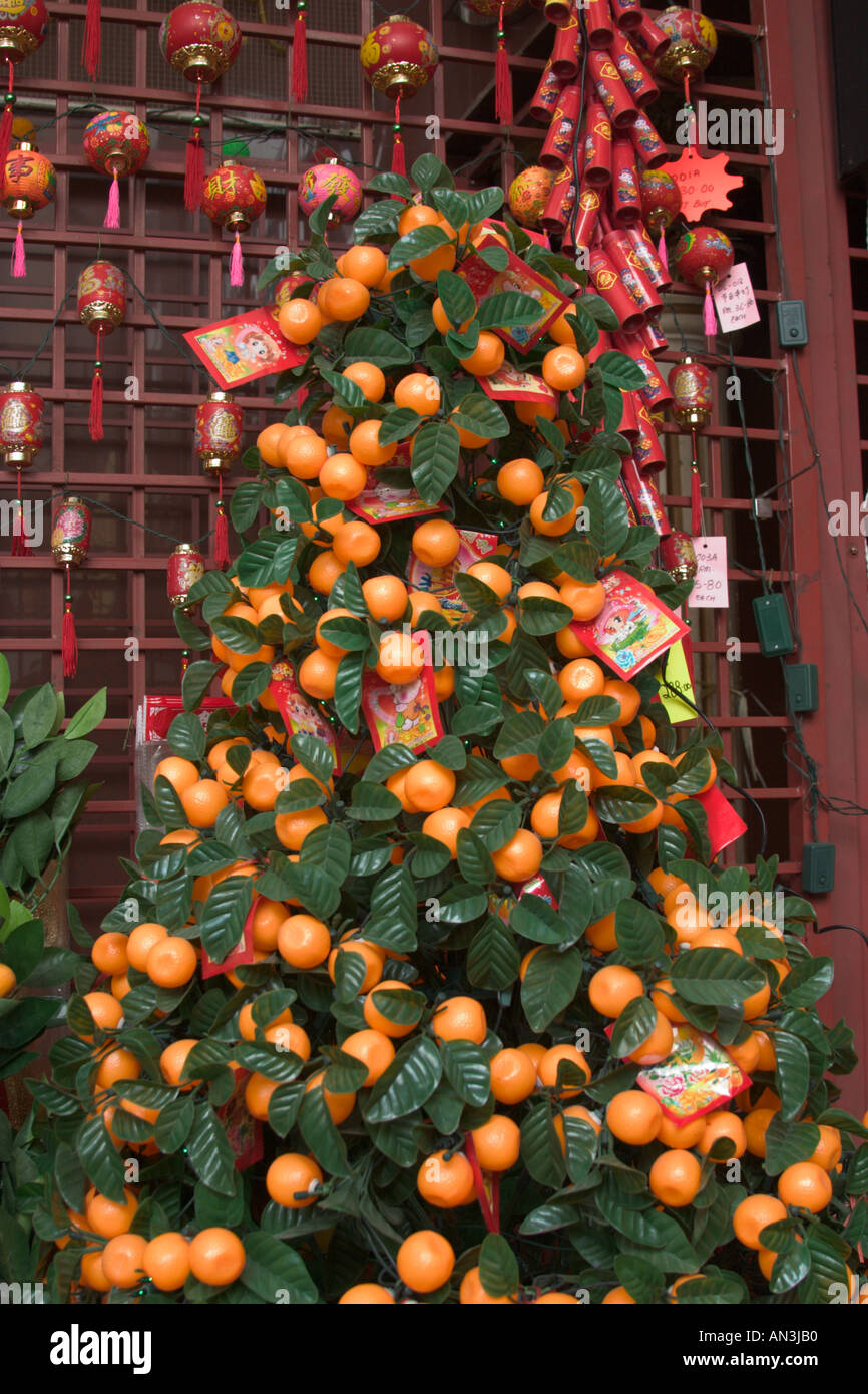 plastic artificial lime tree for chinese new year decoration Stock ...