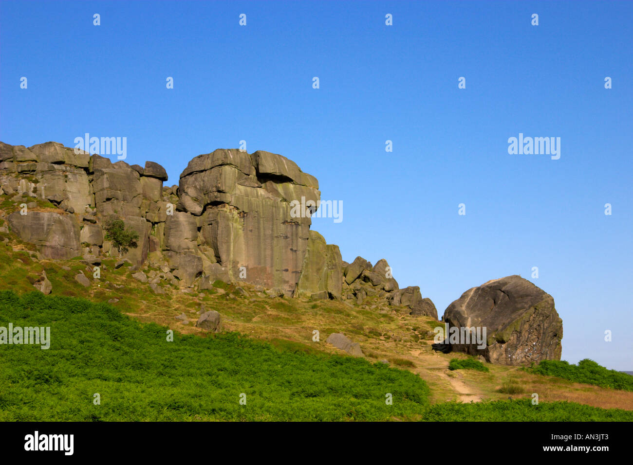 Cow and Calf rock formation Ilkley Yorkshire UK Stock Photo - Alamy
