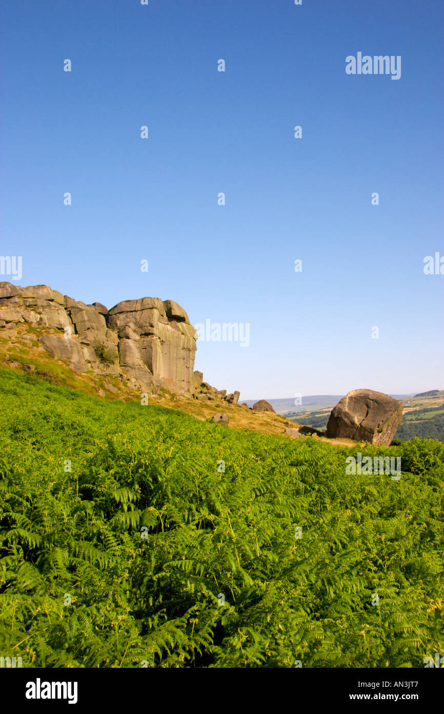 Cow and Calf rock formation Ilkley Yorkshire UK Stock Photo - Alamy