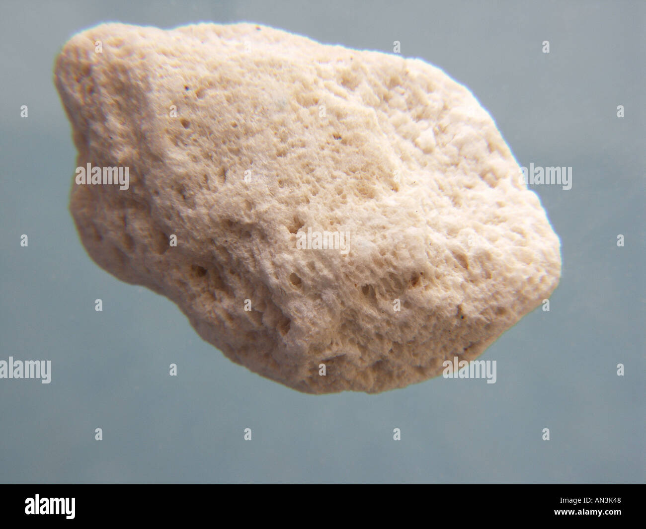 Pumice float hi-res stock photography and images - Alamy