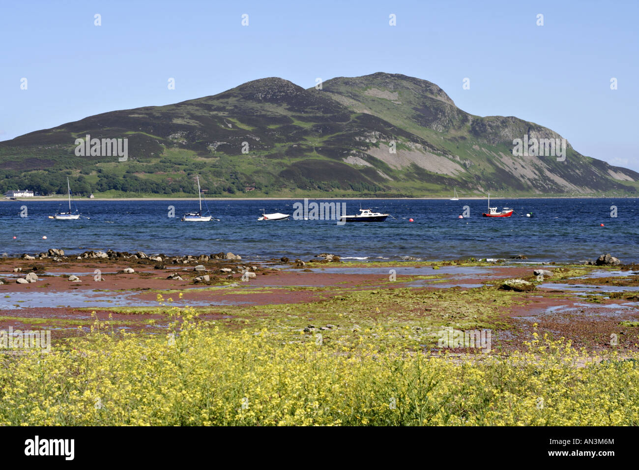The Holy Isle, Firth of Clyde (Scottish Gaelic: Eilean MoLaise) from ... The Holy Isle, Firth of Clyde (Scottish Gaelic: Eilean MoLaise) from ...