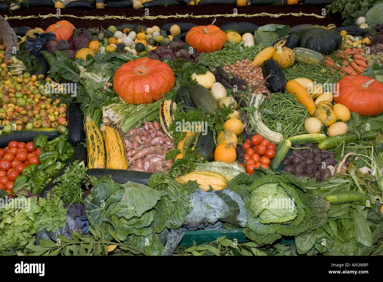 Giant vegetable display hi-res stock photography and images - Alamy