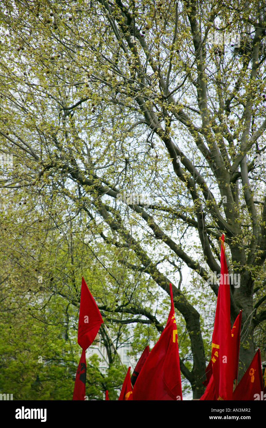 Communist red flags flag hi-res stock photography and images - Alamy