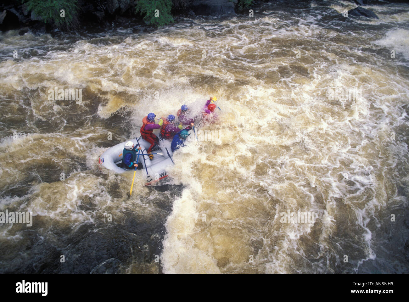 Whitewater rafting, Cache la Poudre River, Colorado Stock Photo - Alamy