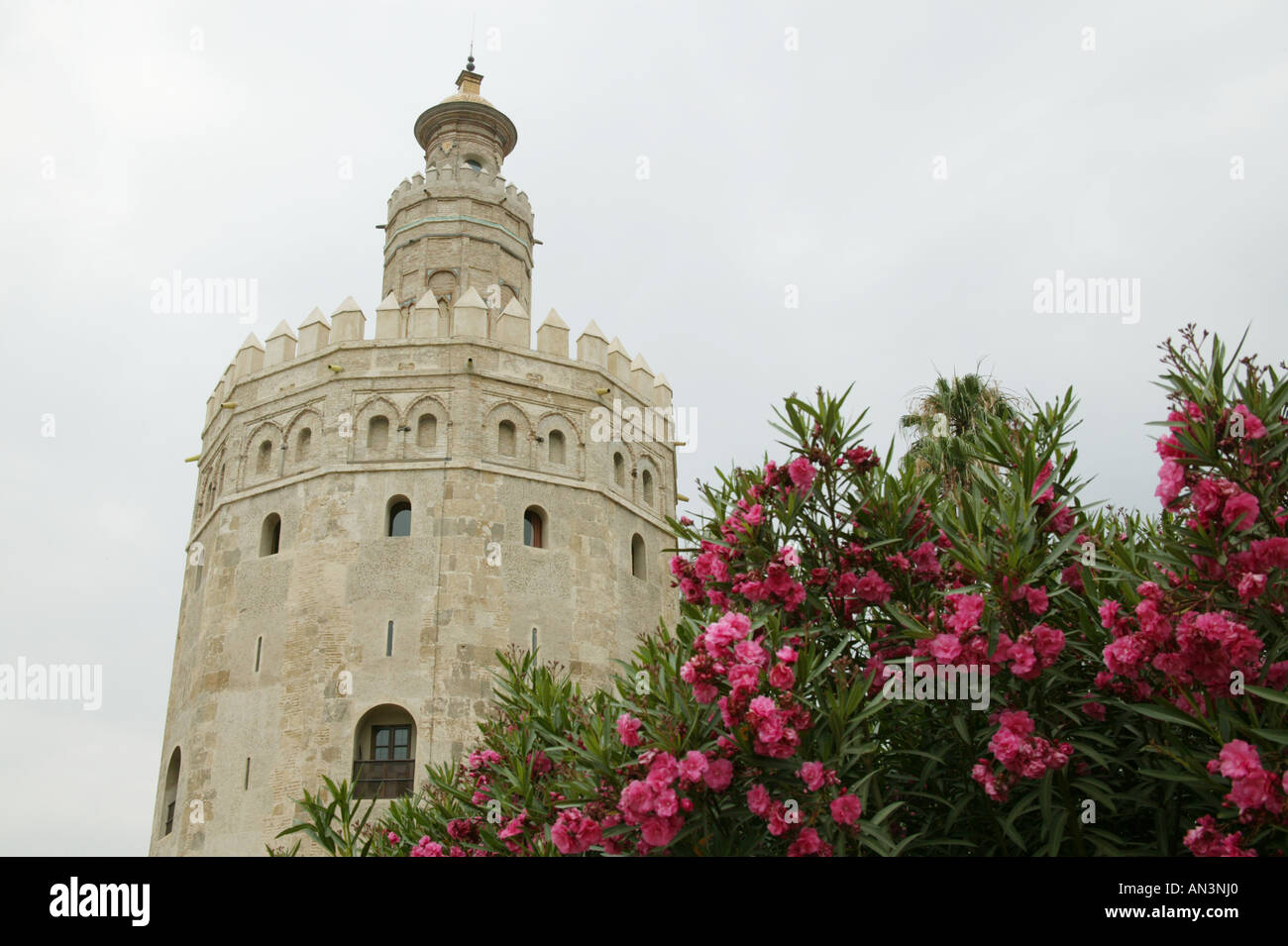 The Torre del Oro (Golden Tower Stock Photo - Alamy