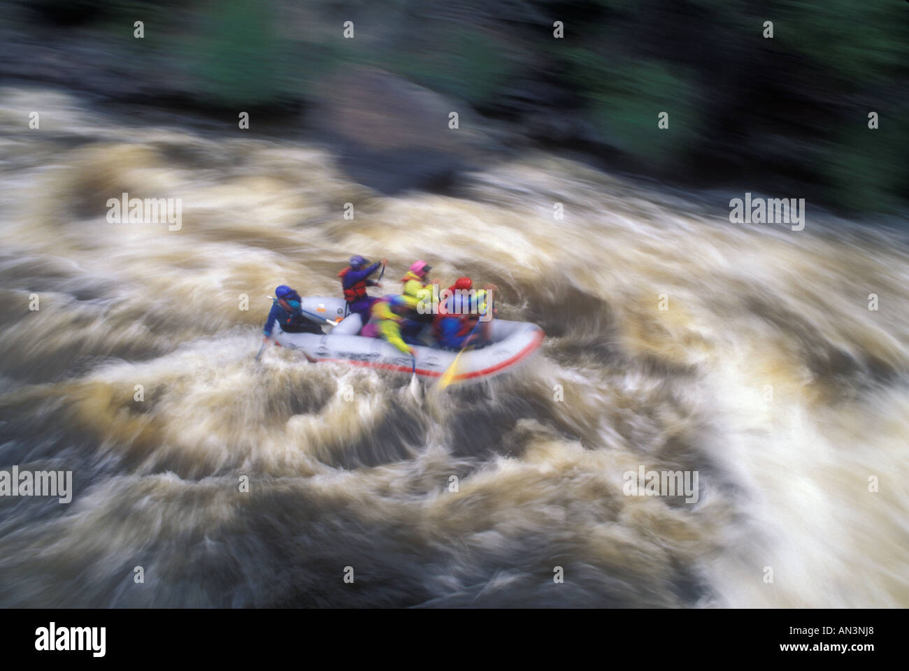 Whitewater rafting, Cache la Poudre River, Colorado Stock Photo - Alamy