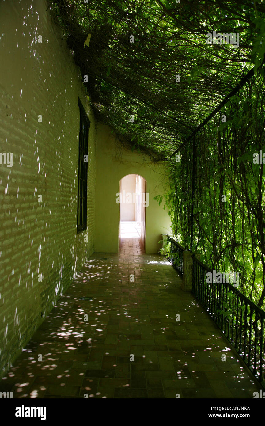 vine covered archway Stock Photo - Alamy