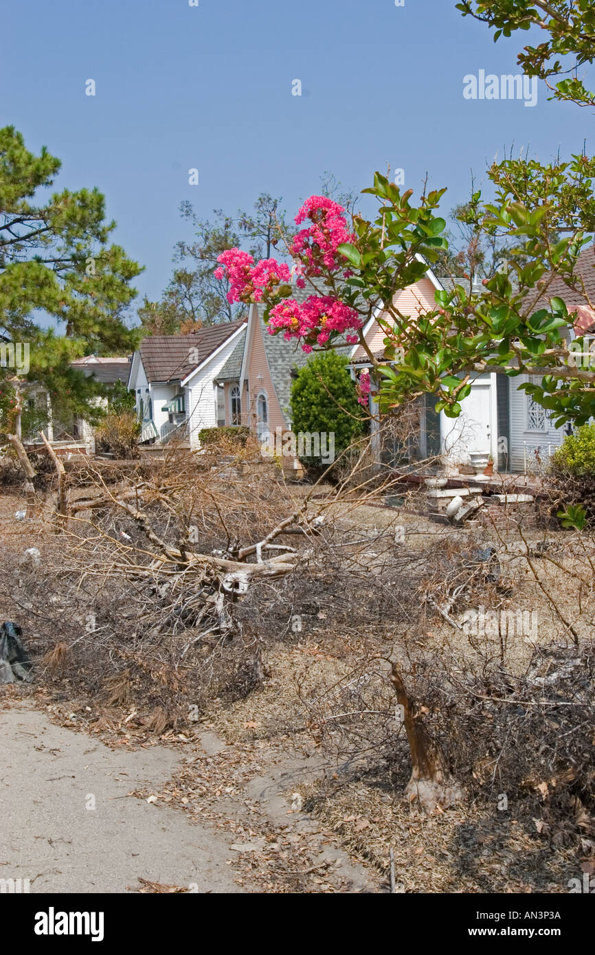 Hurricane wreckage hi-res stock photography and images - Alamy