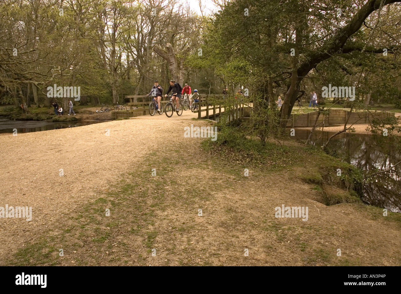 River stream brockenhurst hi-res stock photography and images - Alamy