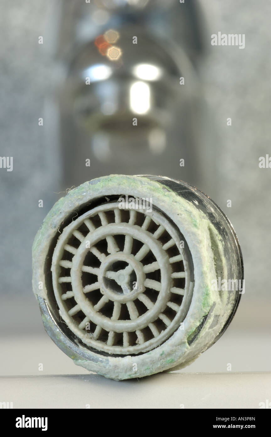 Calcification hi-res stock photography and images - Alamy