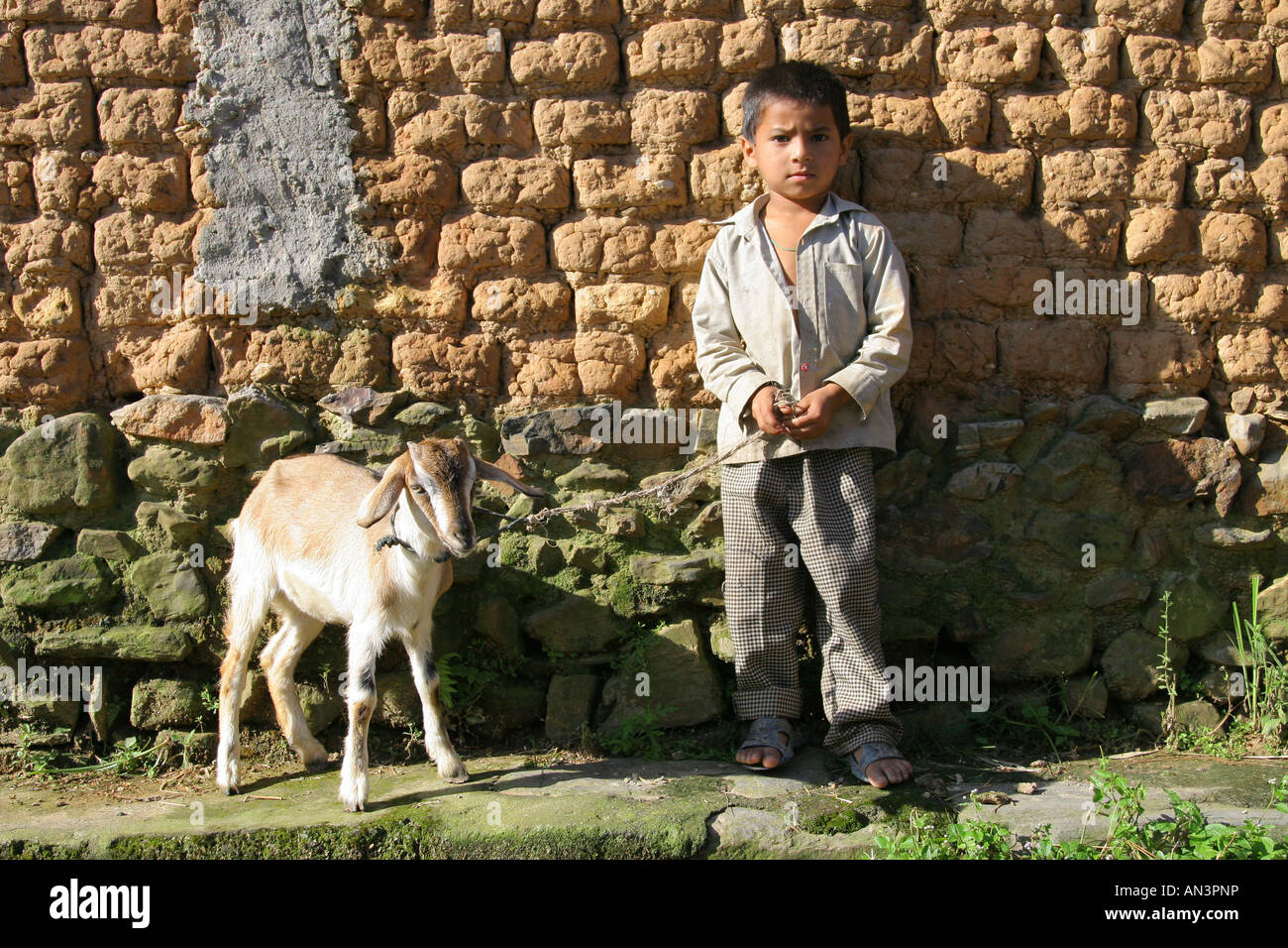[Boy with a goat Kagati Gaun Nuwakot Nepal] Stock Photo - Alamy