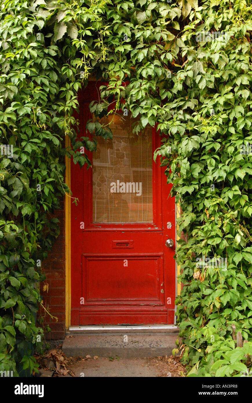 Ivy & door Stock Photo - Alamy