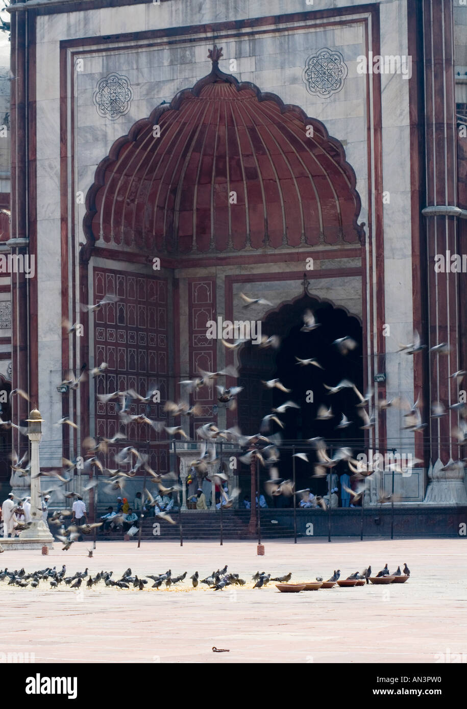 Pigeons flying in front of the Mosque, Jama Masjid in Delhi, india ...