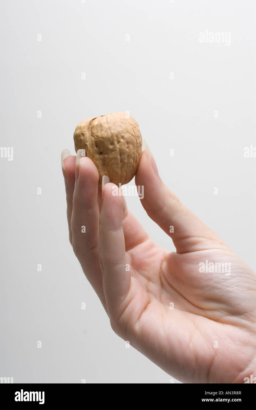 Female hand holding a whole Walnut on white background Stock Photo - Alamy