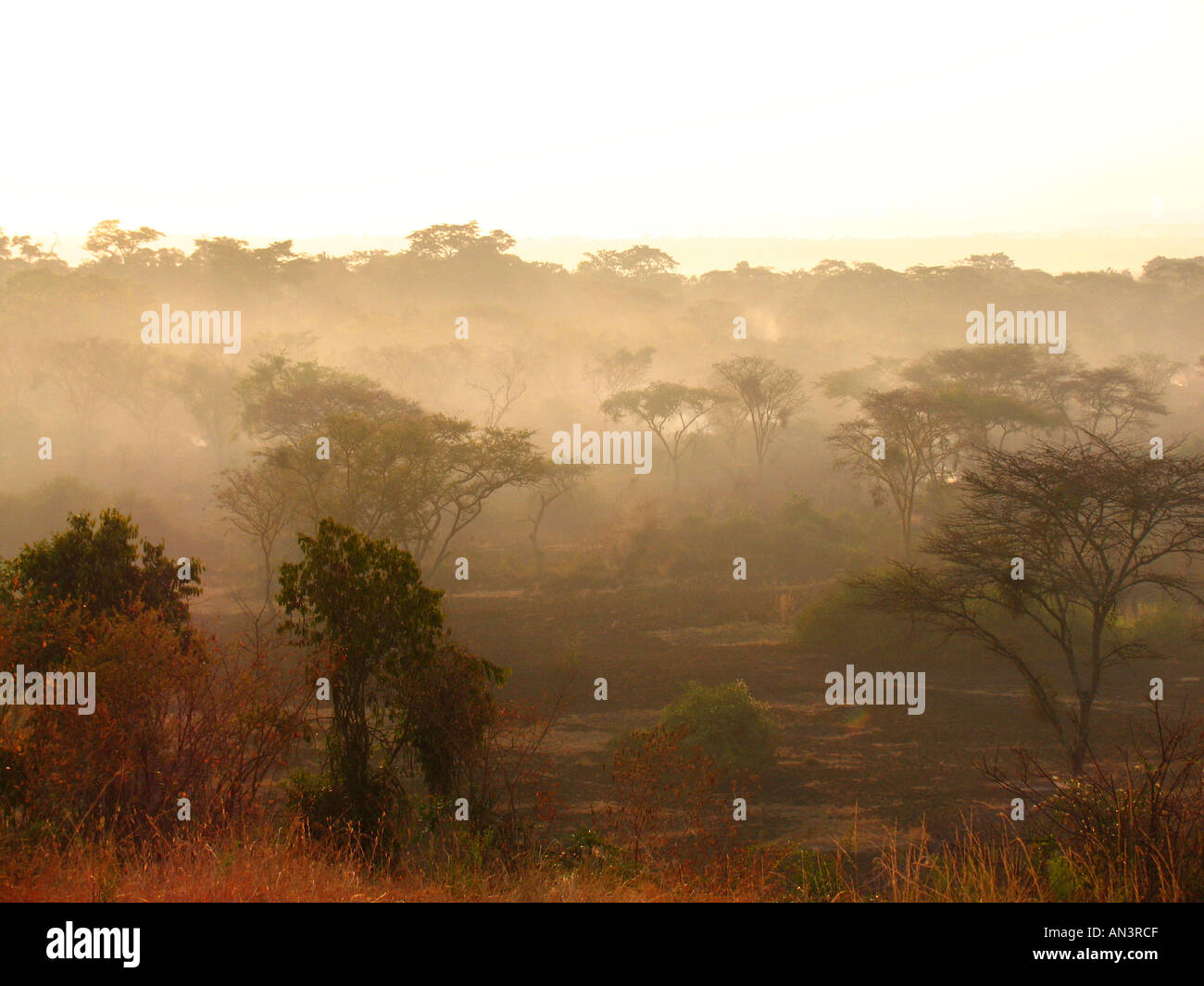 Bushfire management hi-res stock photography and images - Alamy
