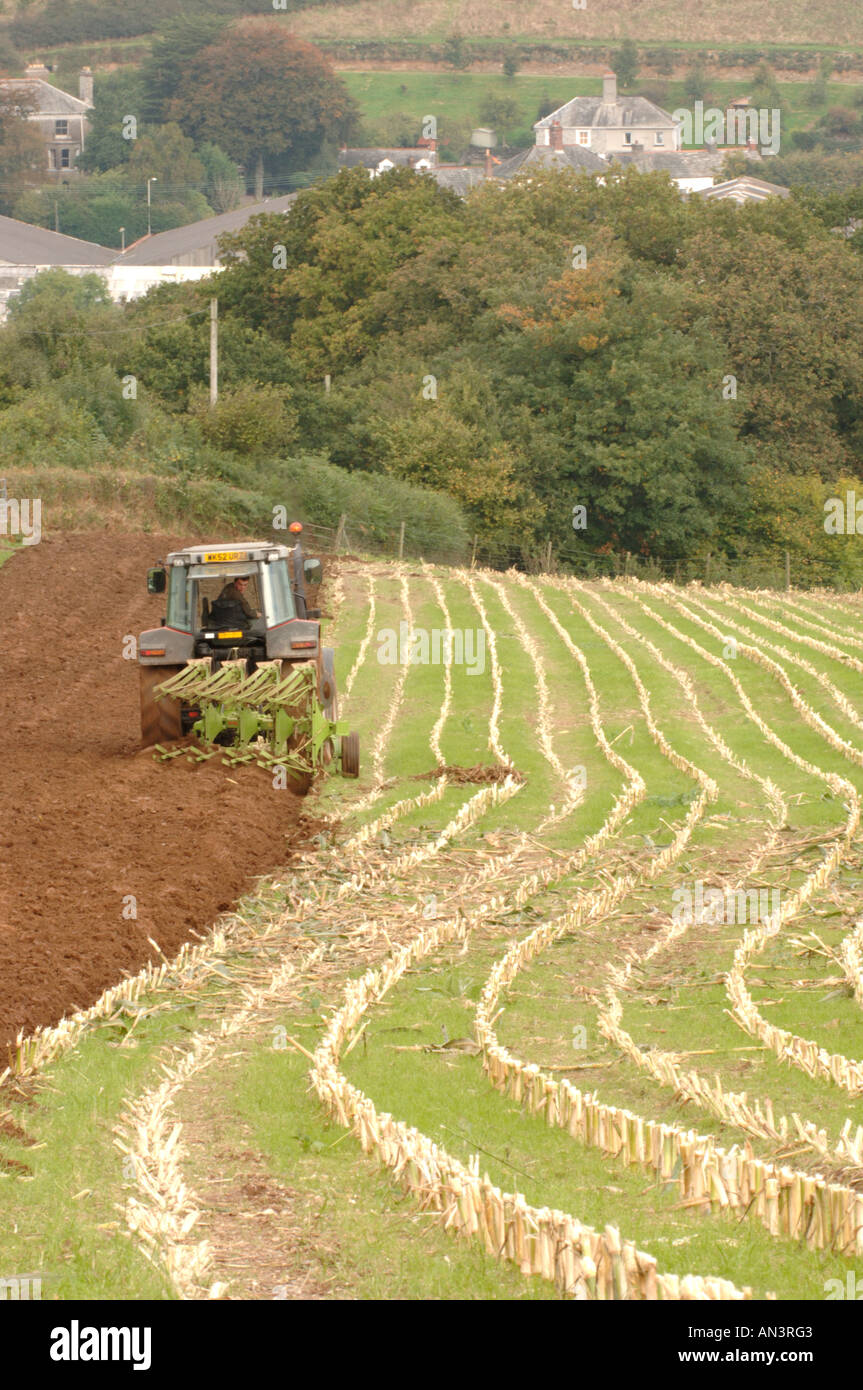 tractor Ploughing Maize stubble Stock Photo - Alamy