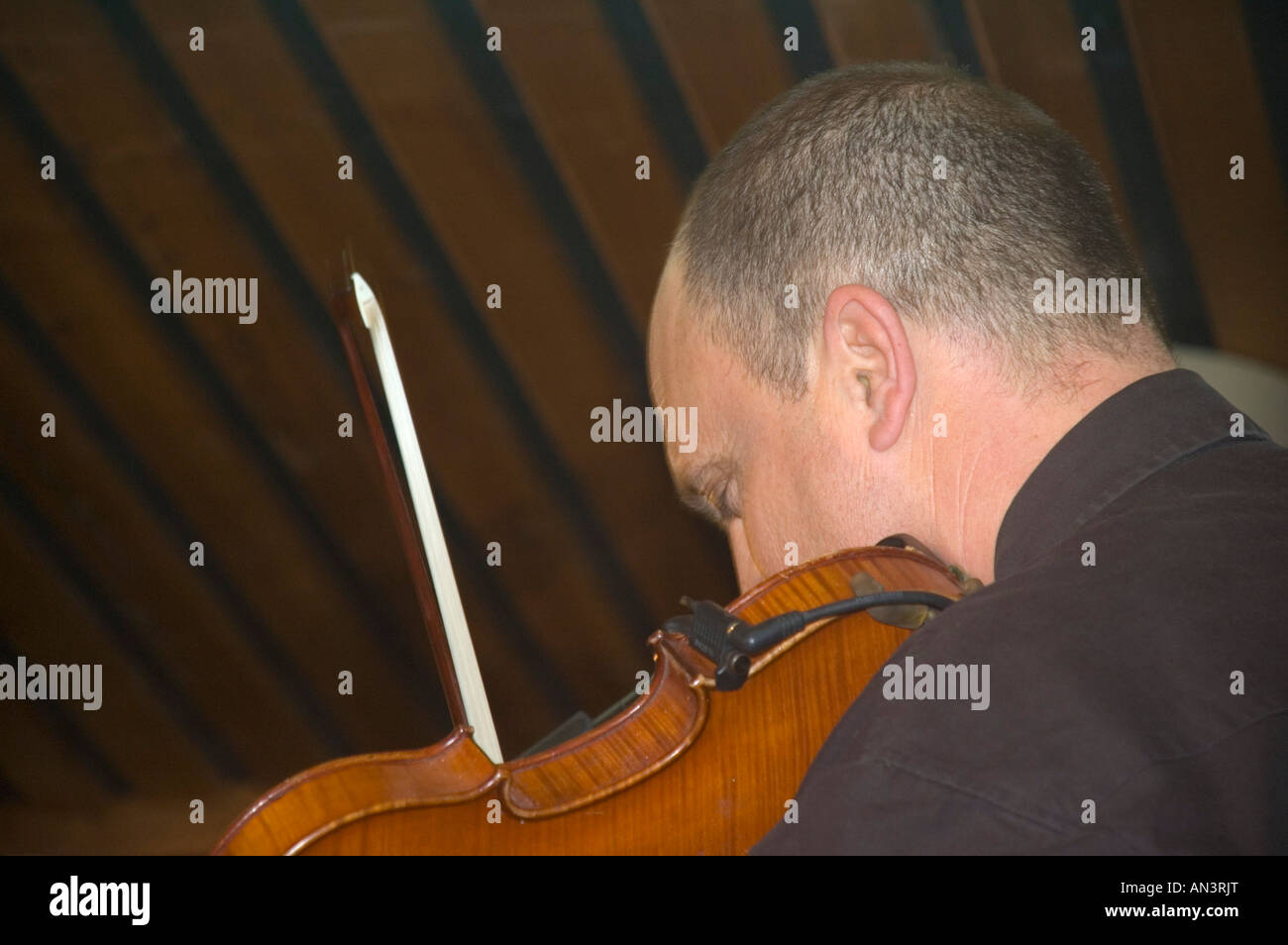 Violin back hi-res stock photography and images - Alamy