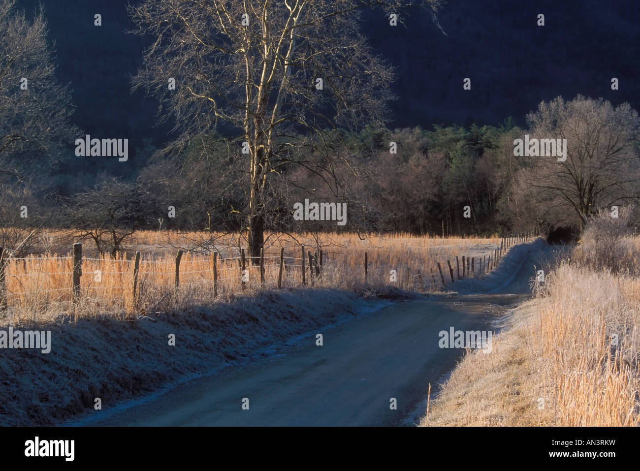 Morning light on road hi-res stock photography and images - Alamy