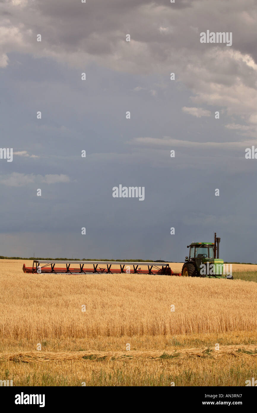 Swath swather hi-res stock photography and images - Alamy