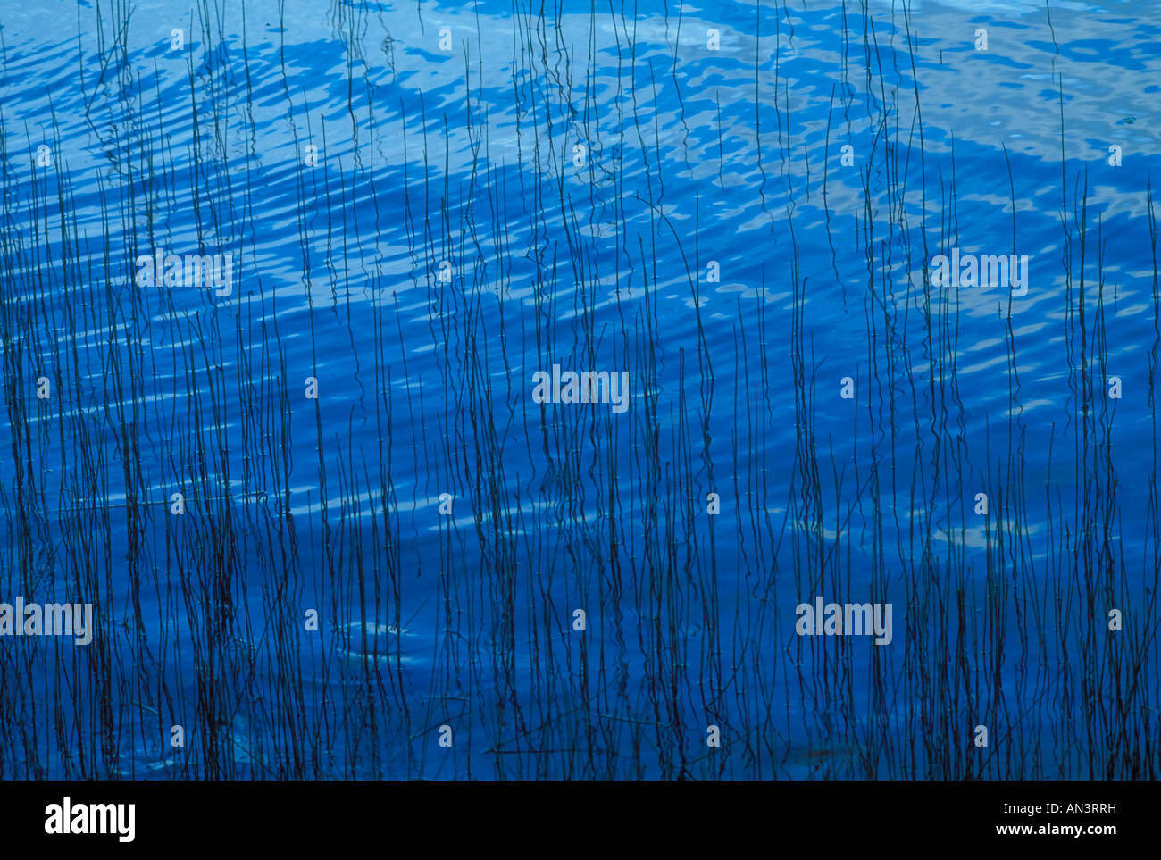 National parks blue reflections patterns hi-res stock photography and ...