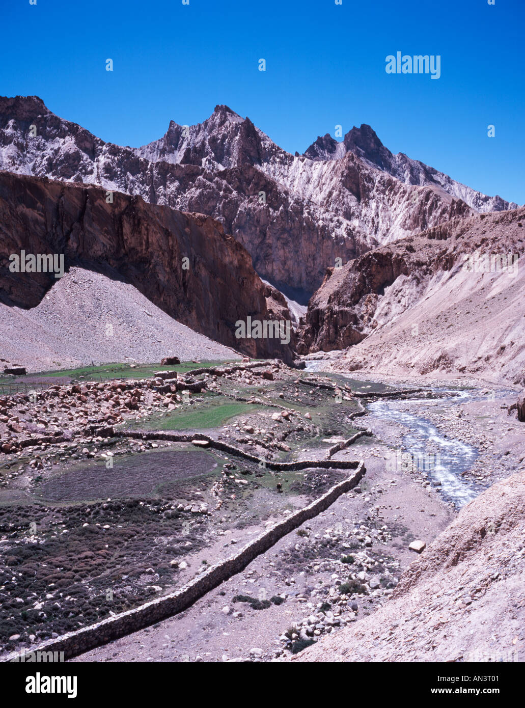 Markha Valley Trek Ladakh India Stock Photo - Alamy