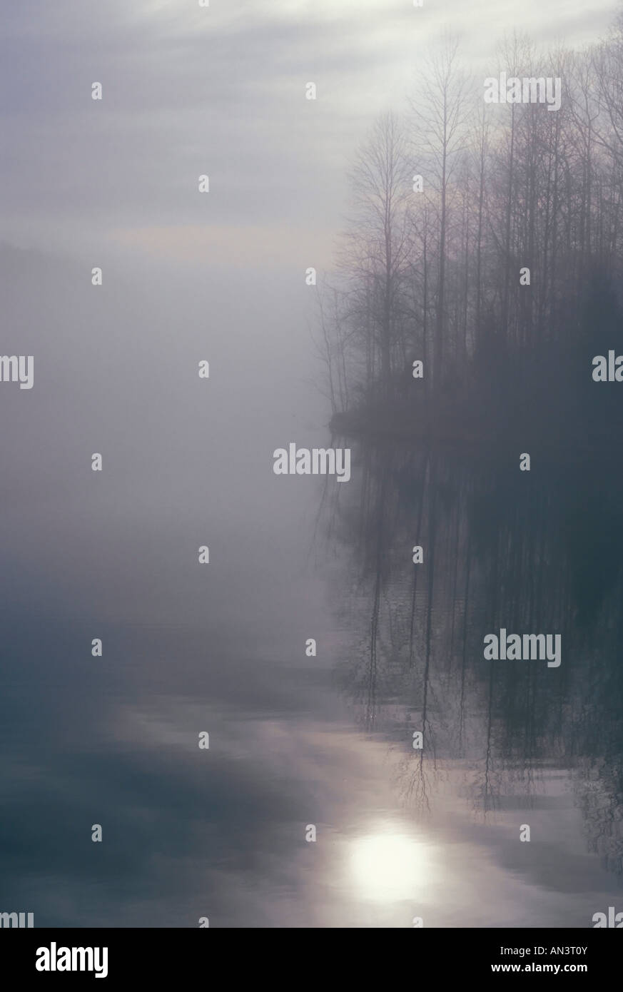 Fog lakes ponds inspirational hi-res stock photography and images - Alamy