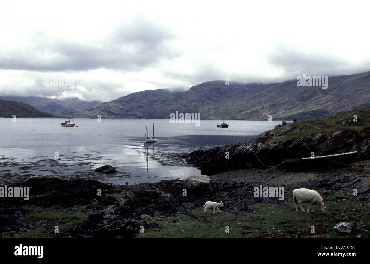 Loch Hourn Western Highlands Scotland Stock Photo - Alamy