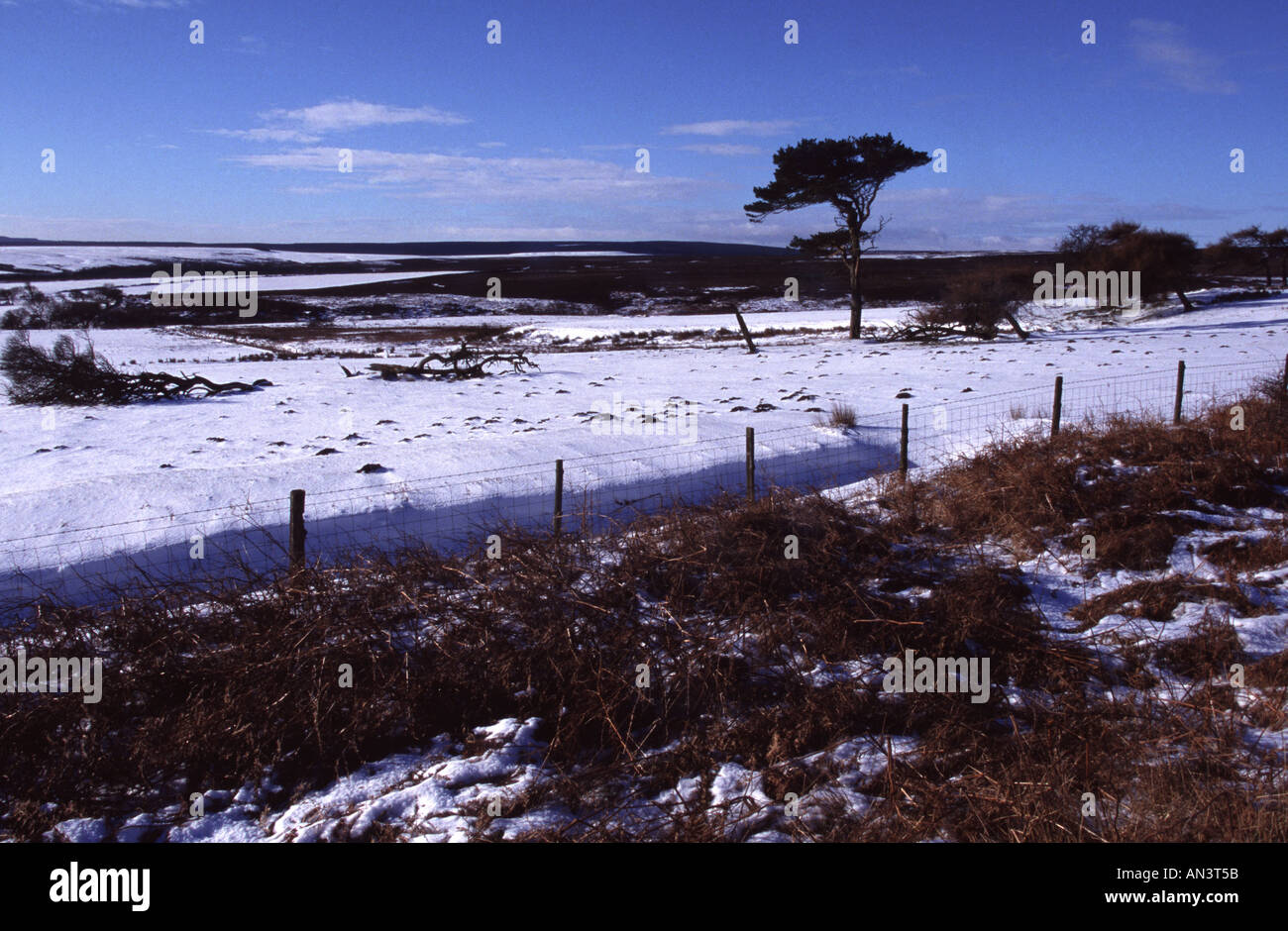 Moors in the snow Stock Photo - Alamy