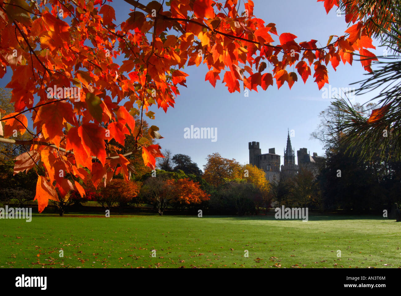 Bute park arboretum hi-res stock photography and images - Alamy